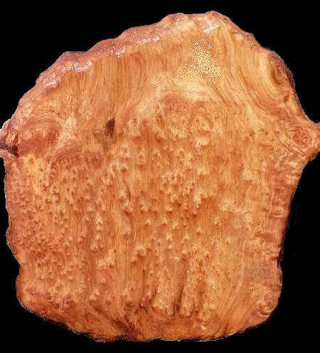 Burl wood table tops